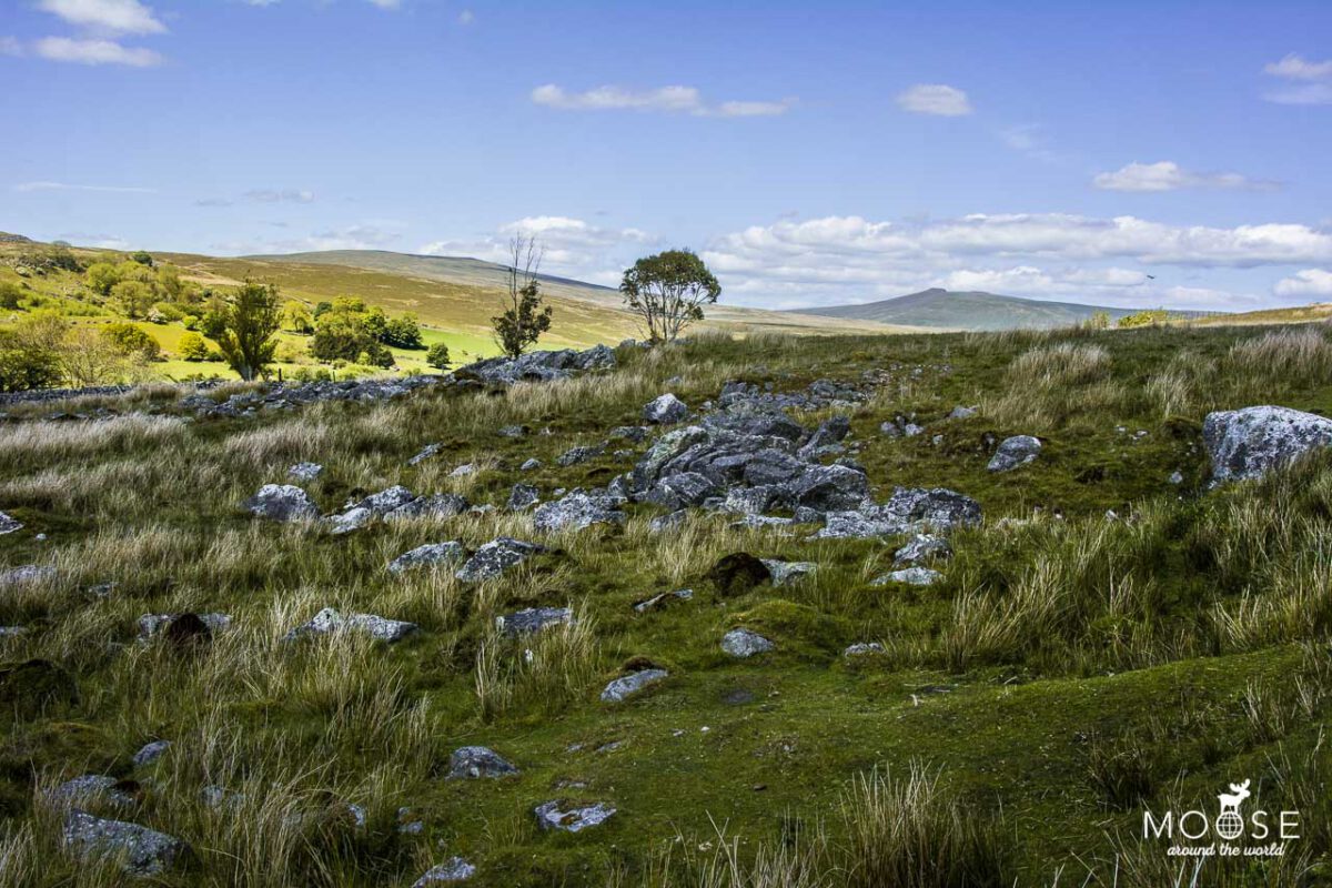 Von Cardiff nach Snowdonia | 10 Tipps für Deinen Wales-Roadtrip - Moose ...