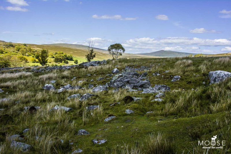 Von Cardiff nach Snowdonia | 10 Tipps für Deinen Wales-Roadtrip - Moose ...